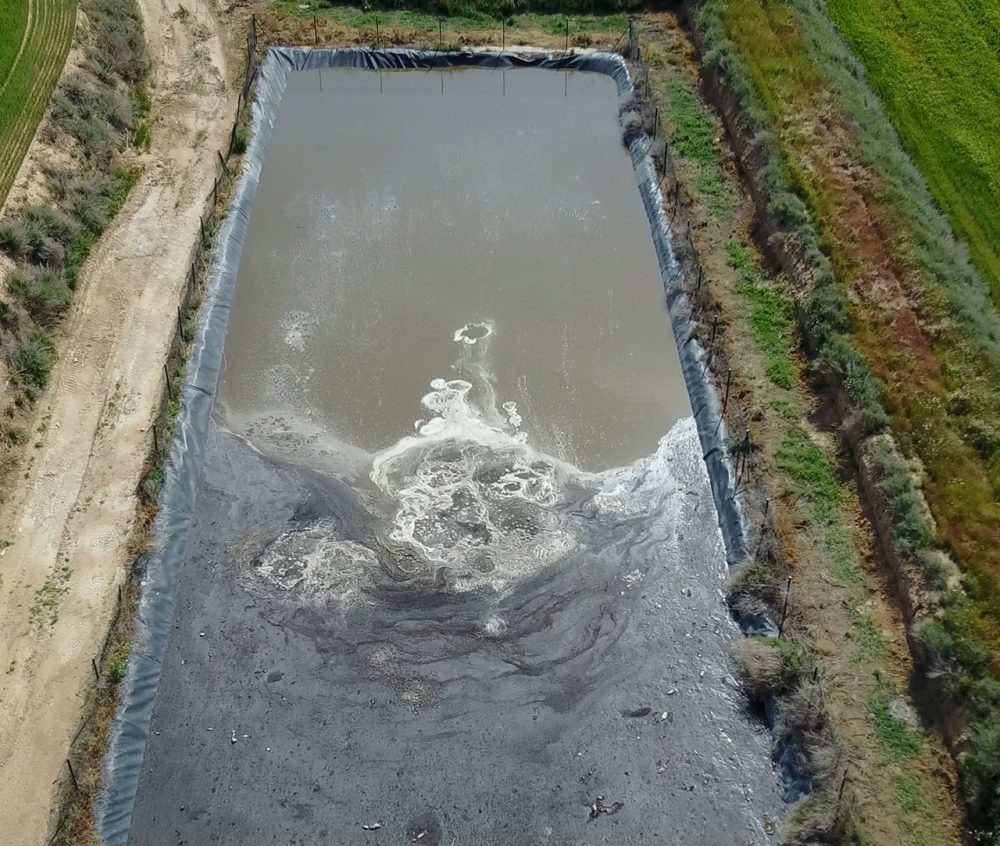 Issue | Animals Raised for Meat | Animal Equality