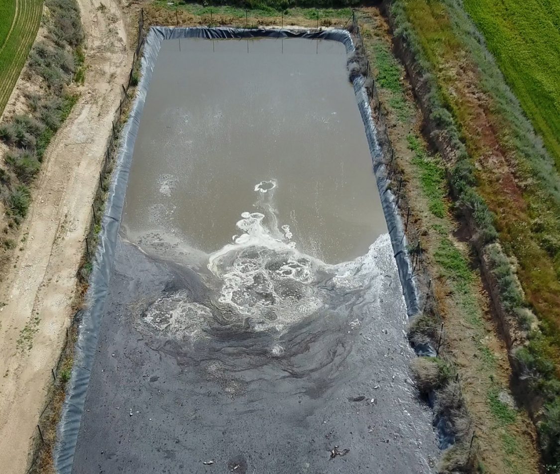 Issue | Animals Raised for Meat | Animal Equality