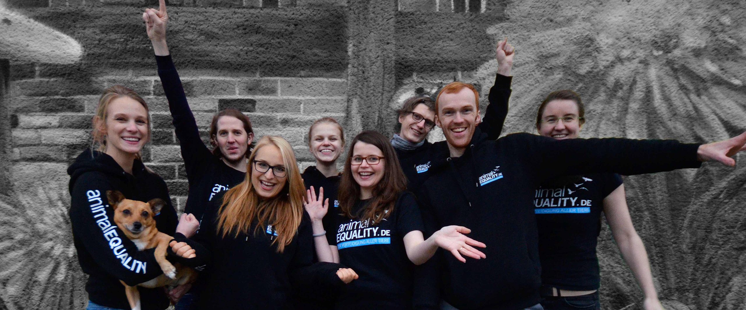 Volunteer | Animal Equality | International Animal Protection Organization