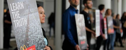 Animal Equality: Protecting Animals Worldwide