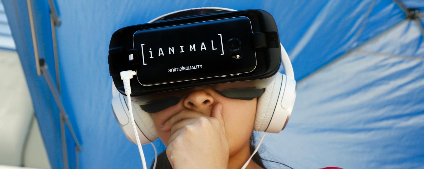 Animal Equality: Protecting Animals Worldwide