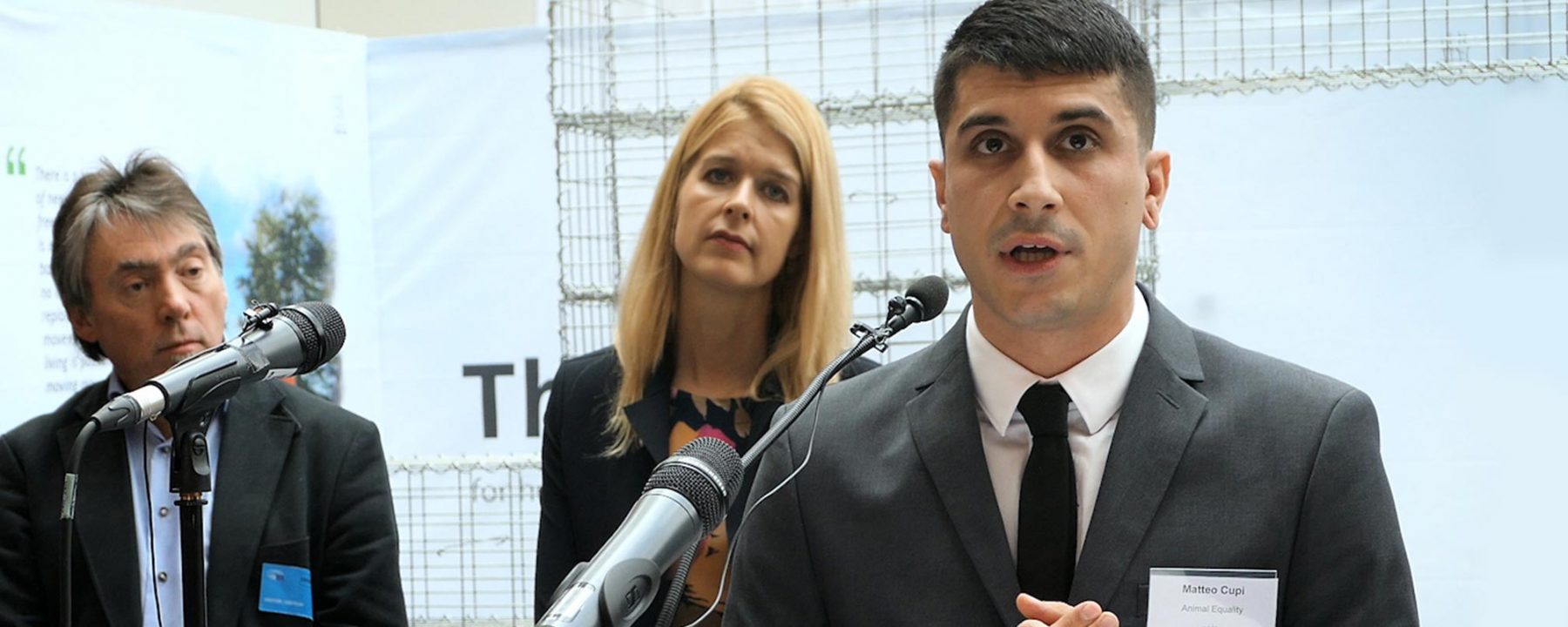 Animal Equality: Protecting Animals Worldwide