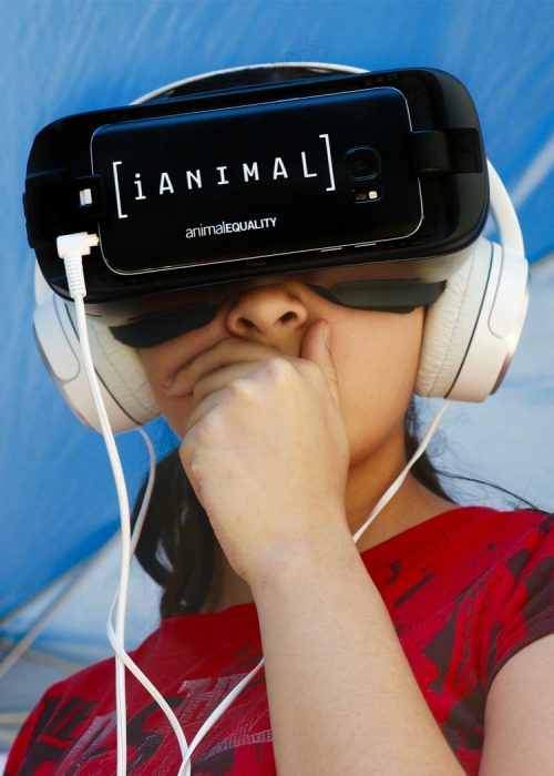 Animal Equality: Protecting Animals Worldwide