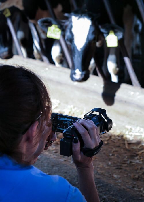 Animal Equality: Protecting Animals Worldwide