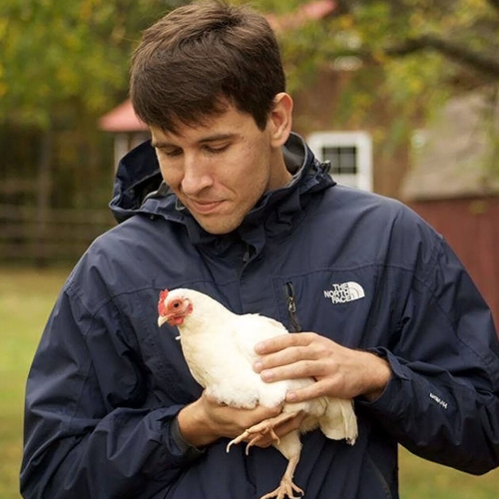 Volunteer with Animal Equality | Make a difference