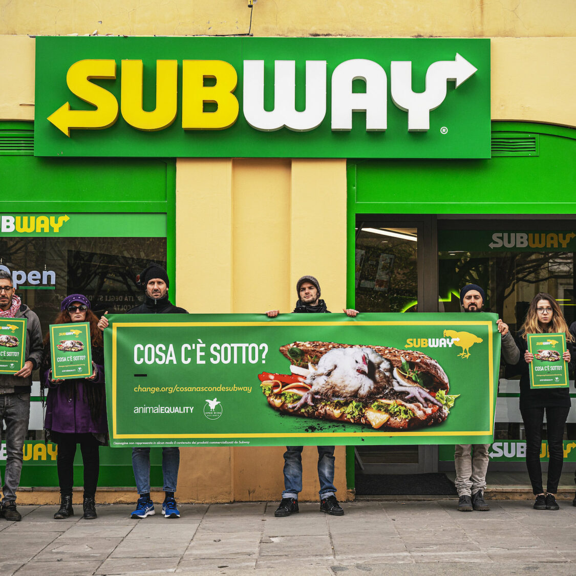 Victories for Animals | Animal Equality | Animal Equality