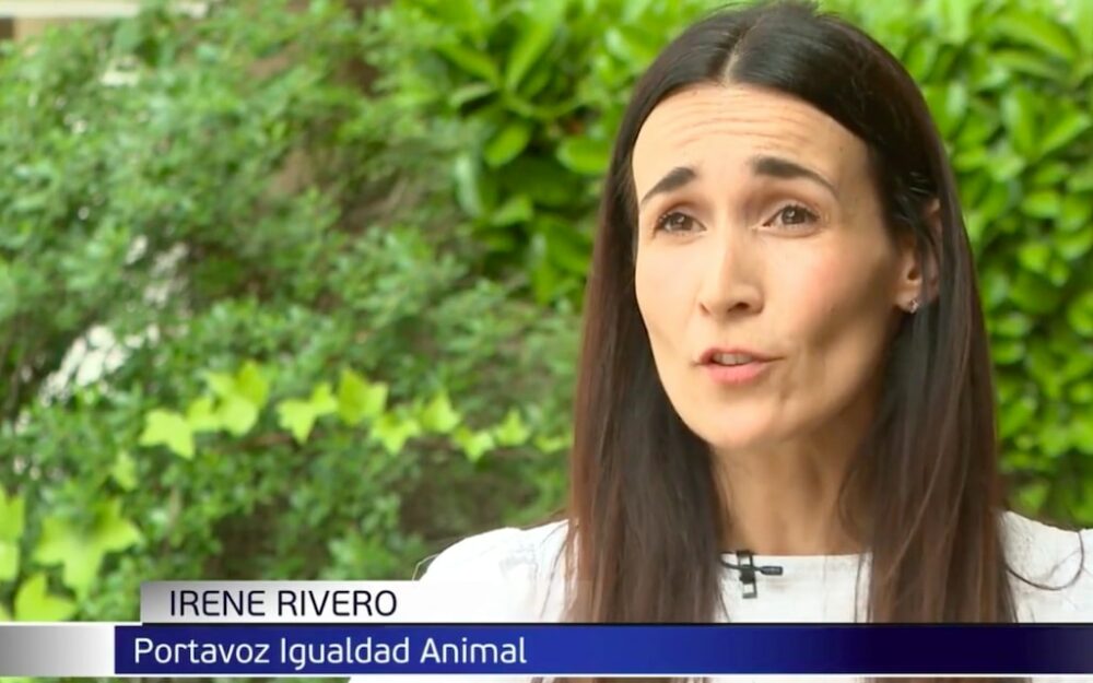 January-September 2022 Impact | Animal Equality