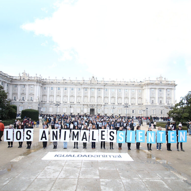 Animal Equality: This Is Our History | Animal Equality