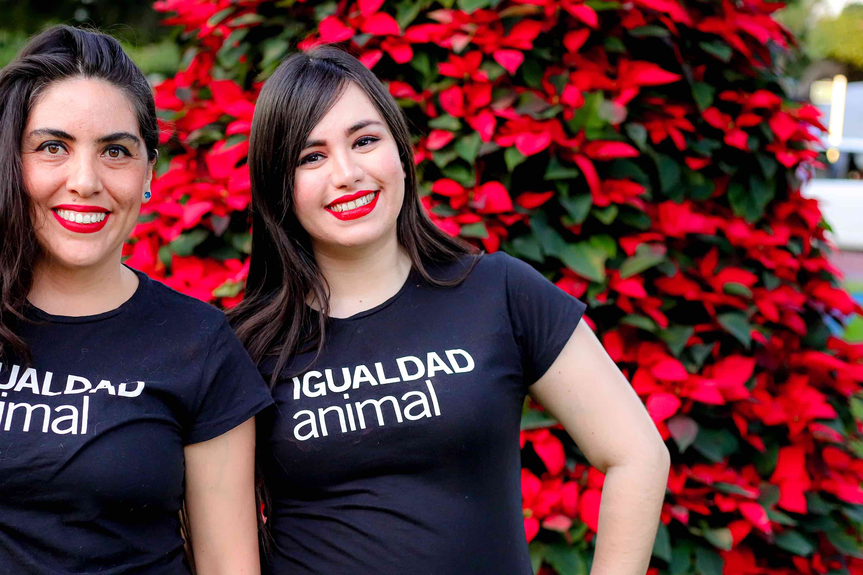 Join the Animal Protectors! Help Animals From Anywhere