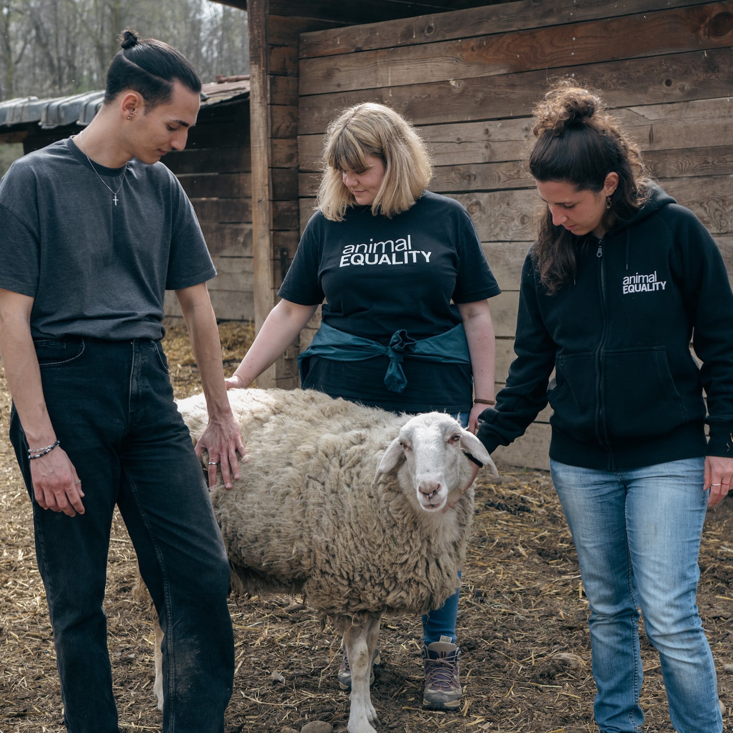 Animal Equality Fall 2023 Impact Report | Animal Equality