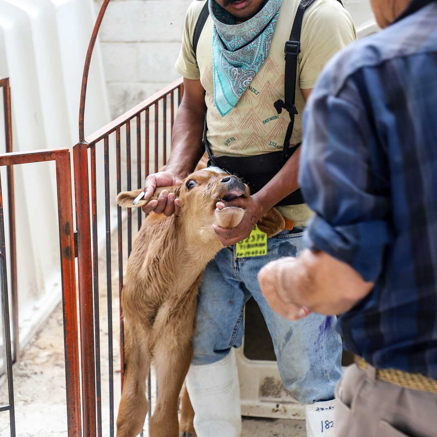 Animal Equality: This Is Our History | Animal Equality