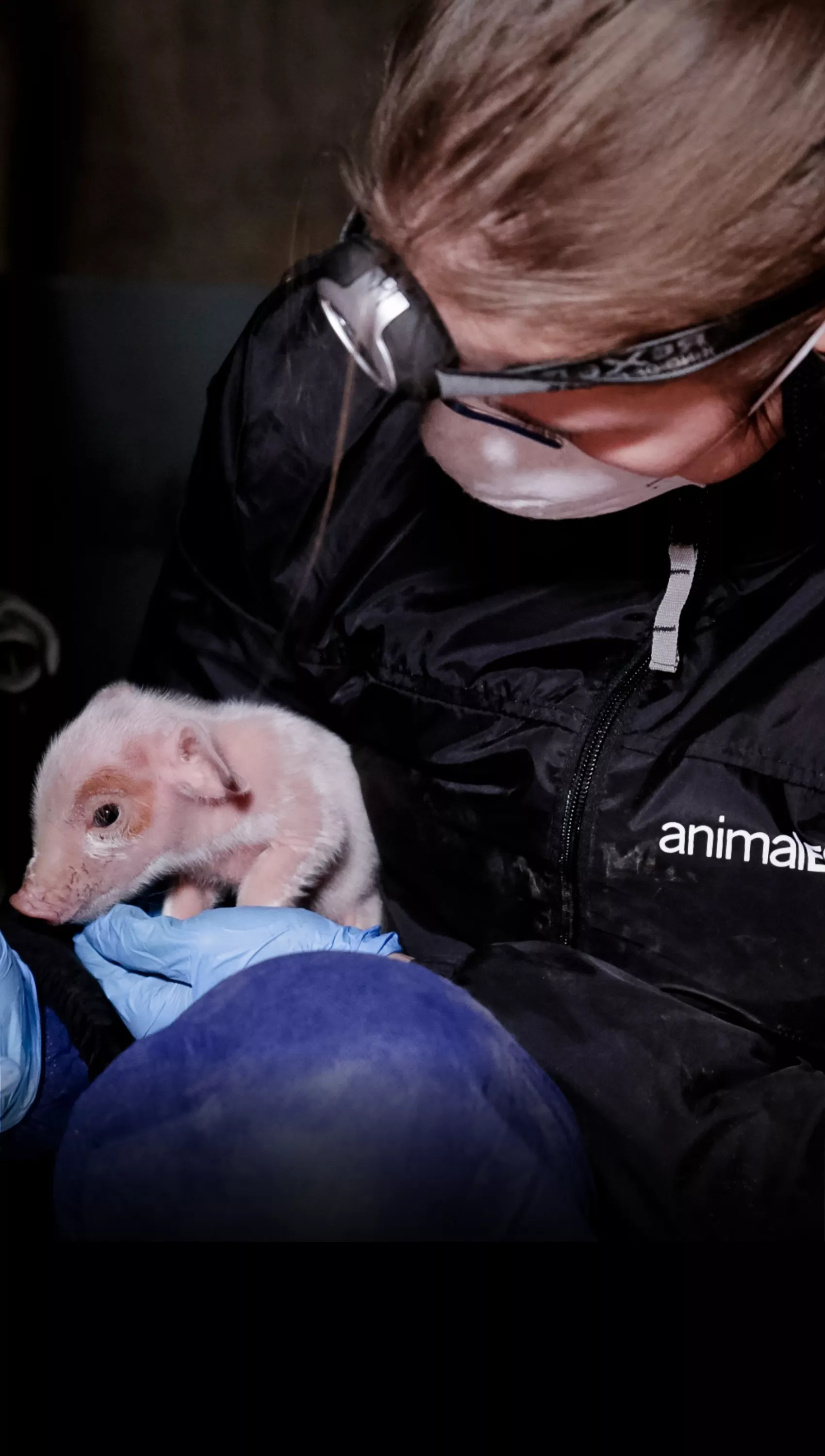 Animal Equality: Protecting Animals Worldwide