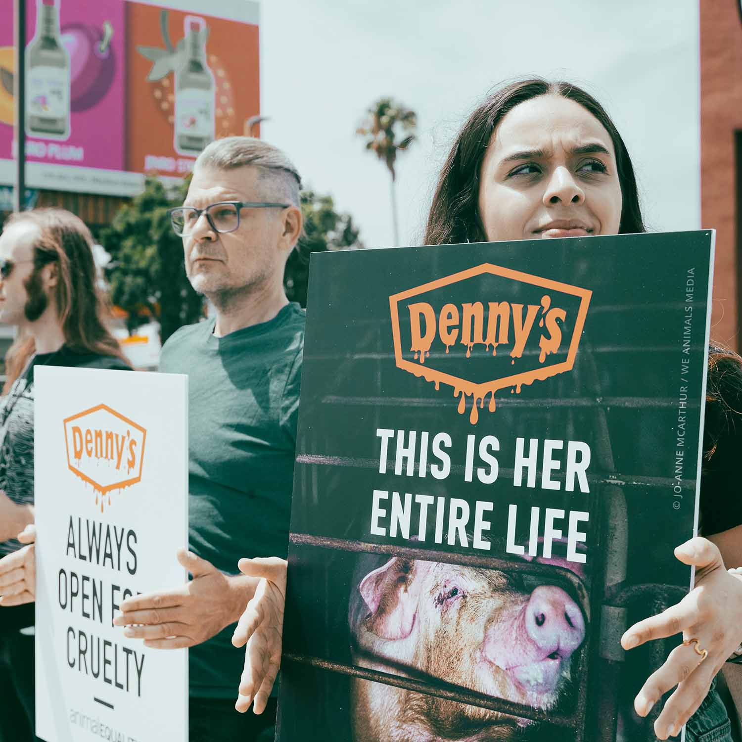 End Factory Farming | Animal Equality