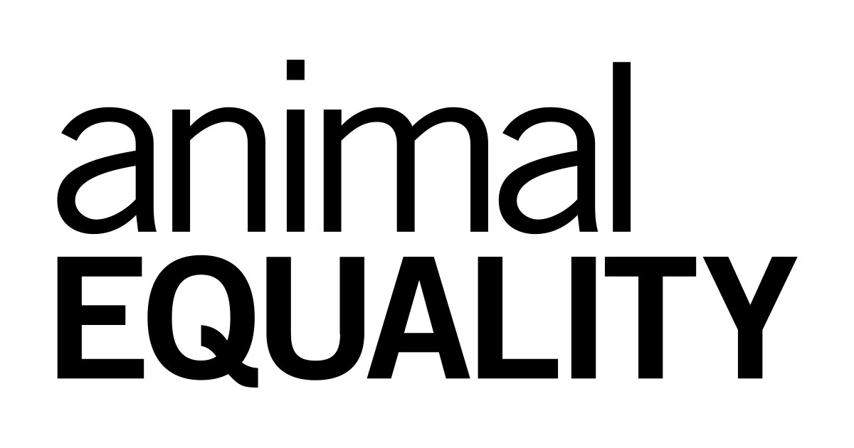 Animal Equality | Protecting animals worldwide